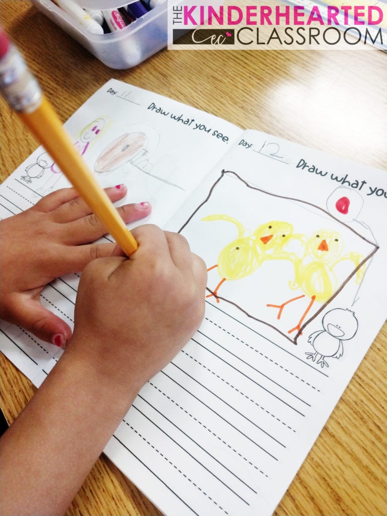 Interactive Science Journal - Chicken Lifecycle • The Kinderhearted ...